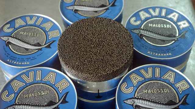 Iran Caviar Supplier - Kala Sepid Tarabar Transport Company